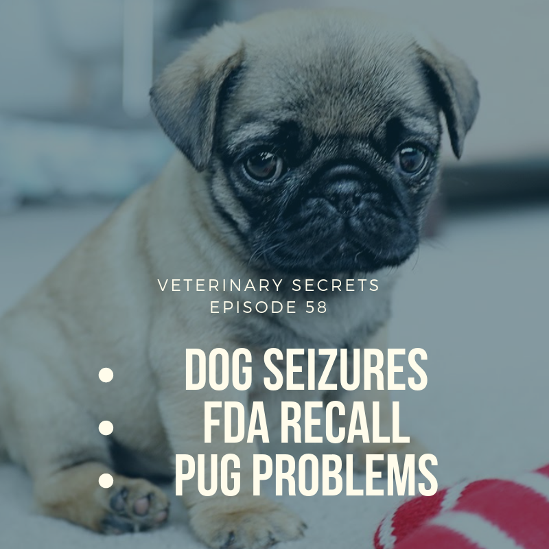[Podcast 58] Pug Problems, Dog Seizure Remedies, FDA Pet Food Recall ...