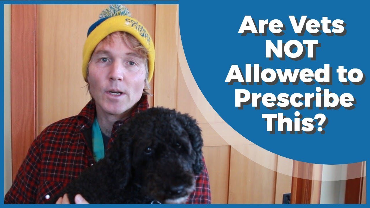 Marijuana Law Final - Veterinary Secrets with Dr. Andrew Jones, DVM