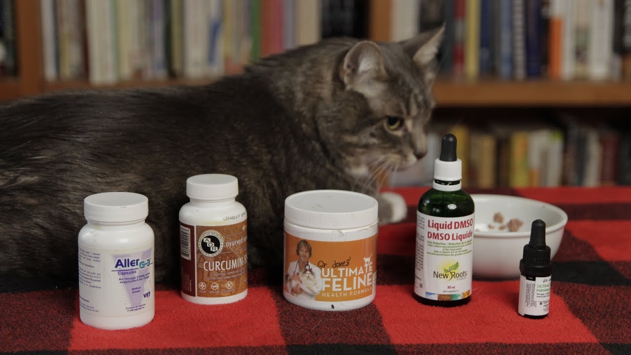 Old Cat In Pain? 5 Natural Options - Veterinary Secrets with Dr. Andrew Jones, DVM