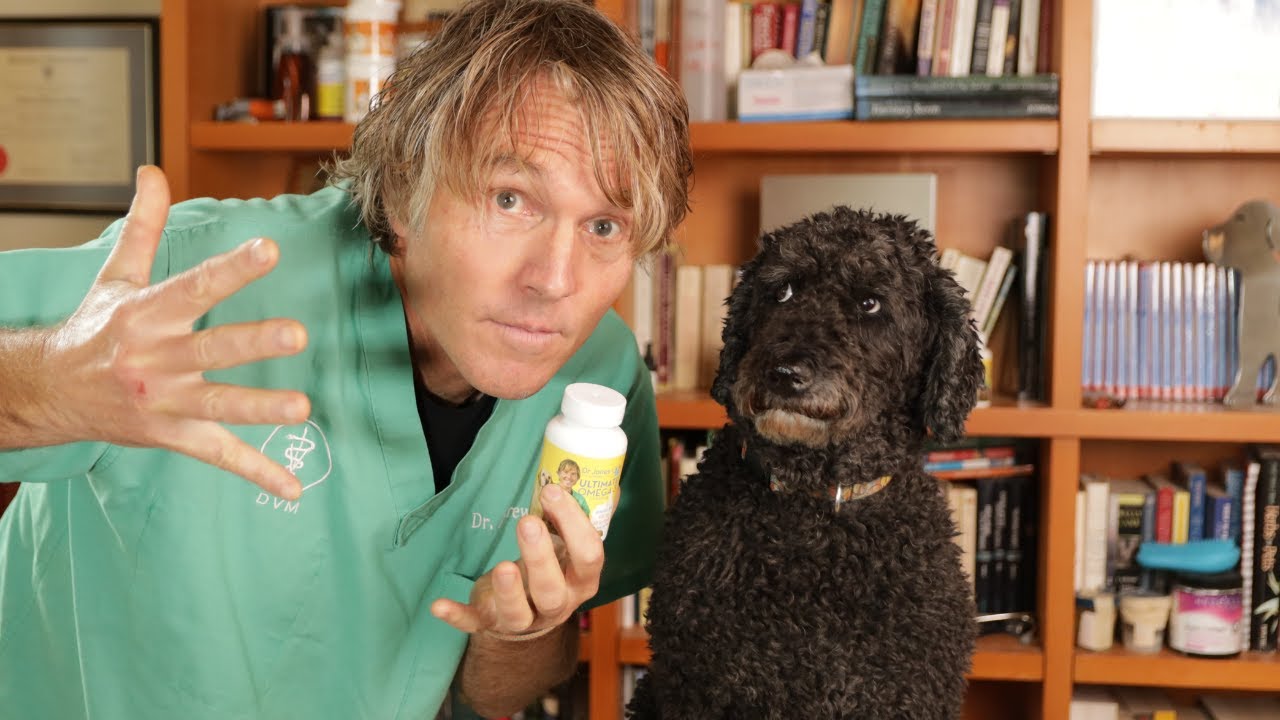 Omega 3 Fatty Acids for Dogs and Cats - Veterinary Secrets with Dr ...