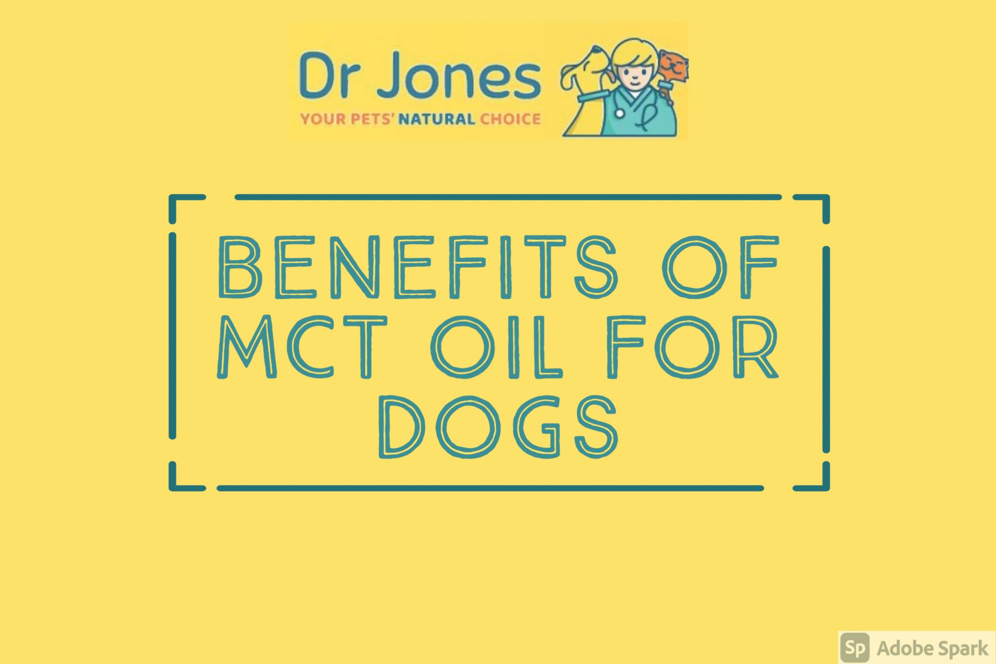 Benefits of MCT Oil for Dogs - Veterinary Secrets with Dr. Andrew Jones ...