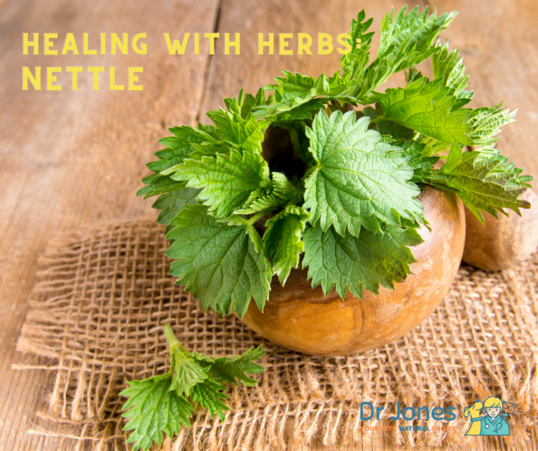 Healing with Herbs: Nettle - Veterinary Secrets with Dr. Andrew Jones, DVM