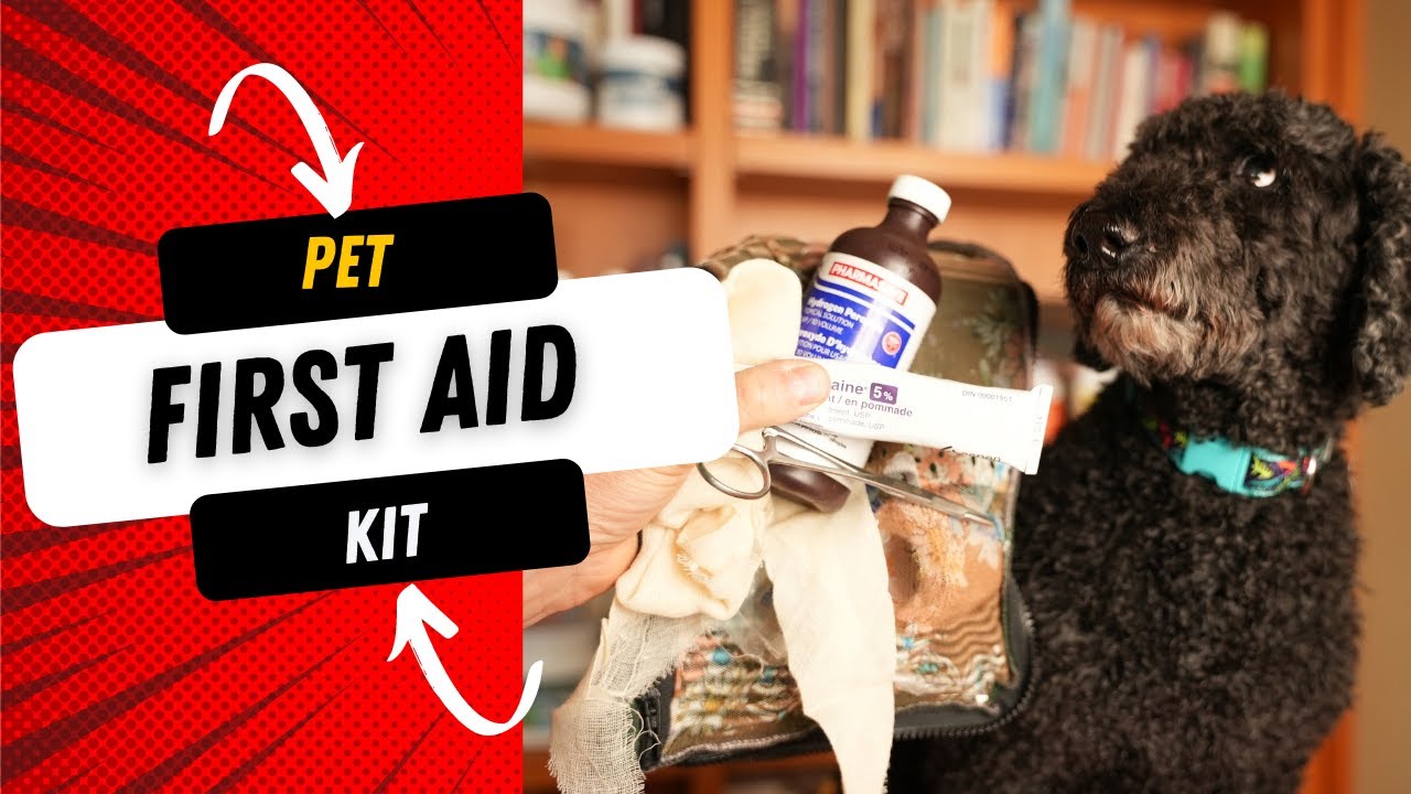 What You Need in a Pet First Aid Kit - Veterinary Secrets with Dr ...