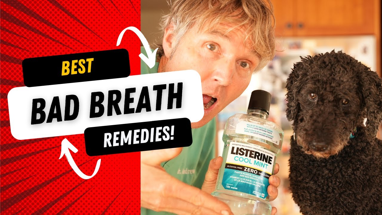 Dog Bad Breath: TOP 5 Natural Remedies - Veterinary Secrets with Dr. Andrew Jones, DVM