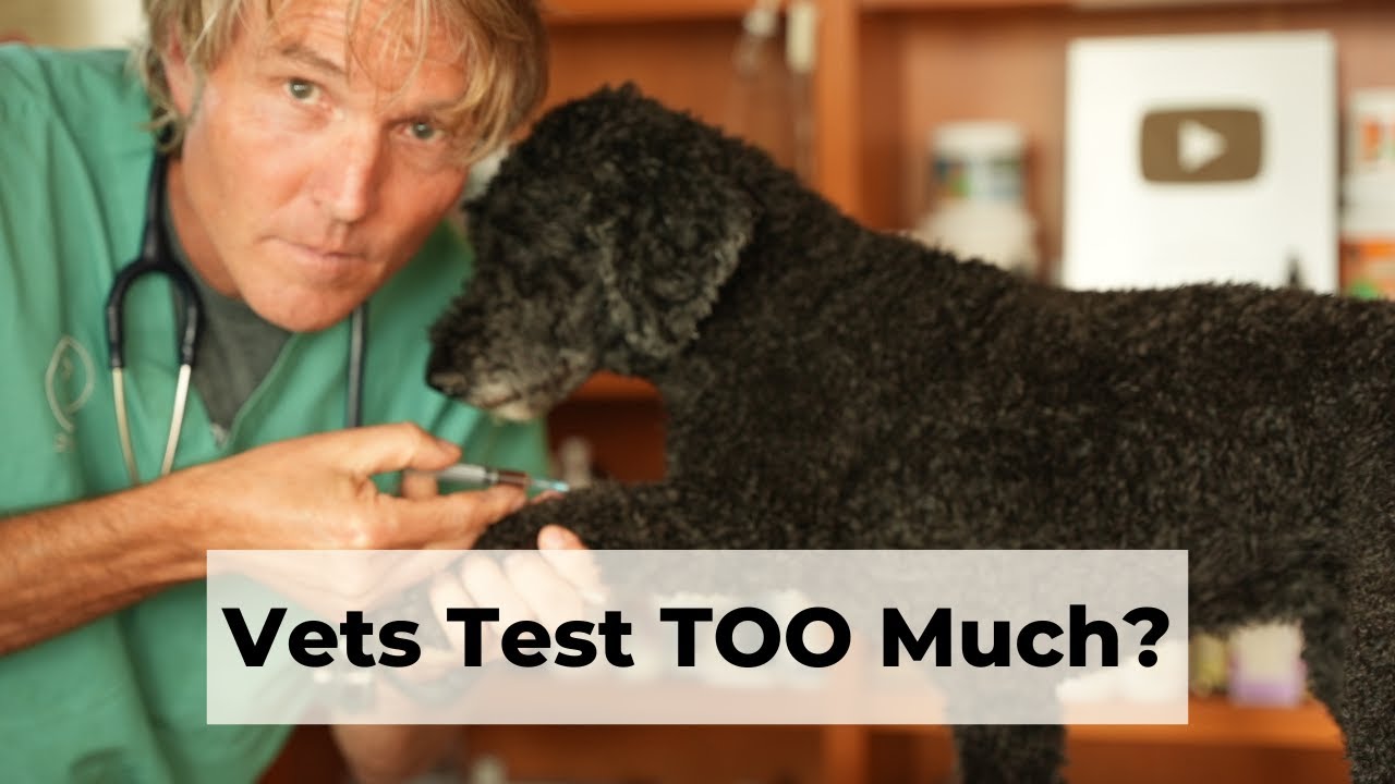 Too many unnecessary tests? - Veterinary Secrets with Dr. Andrew Jones, DVM