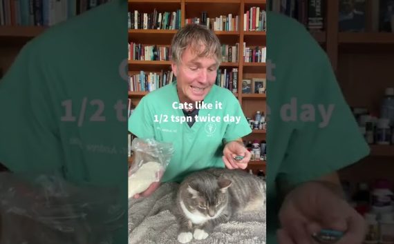 Veterinary Secrets with Dr. Andrew Jones, DVM