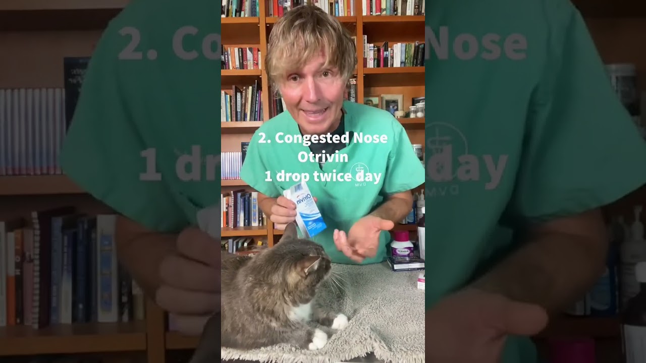 Veterinary Secrets with Dr. Andrew Jones, DVM