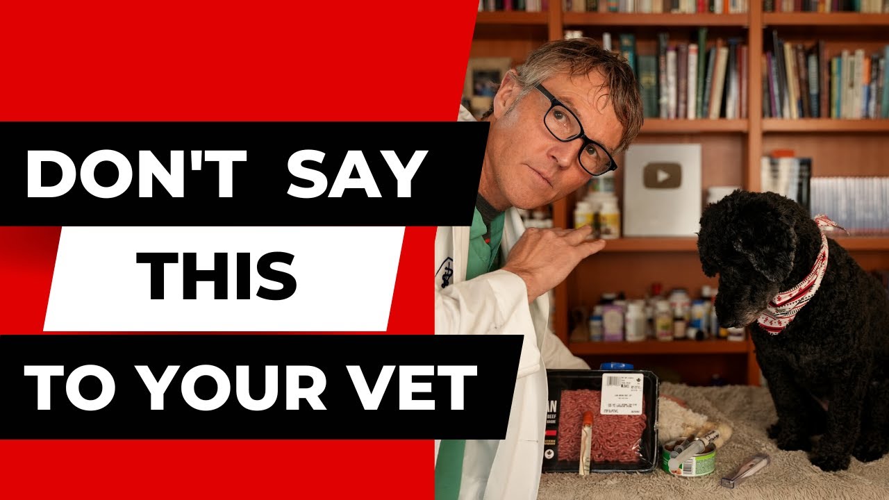 Veterinary Secrets with Dr. Andrew Jones, DVM