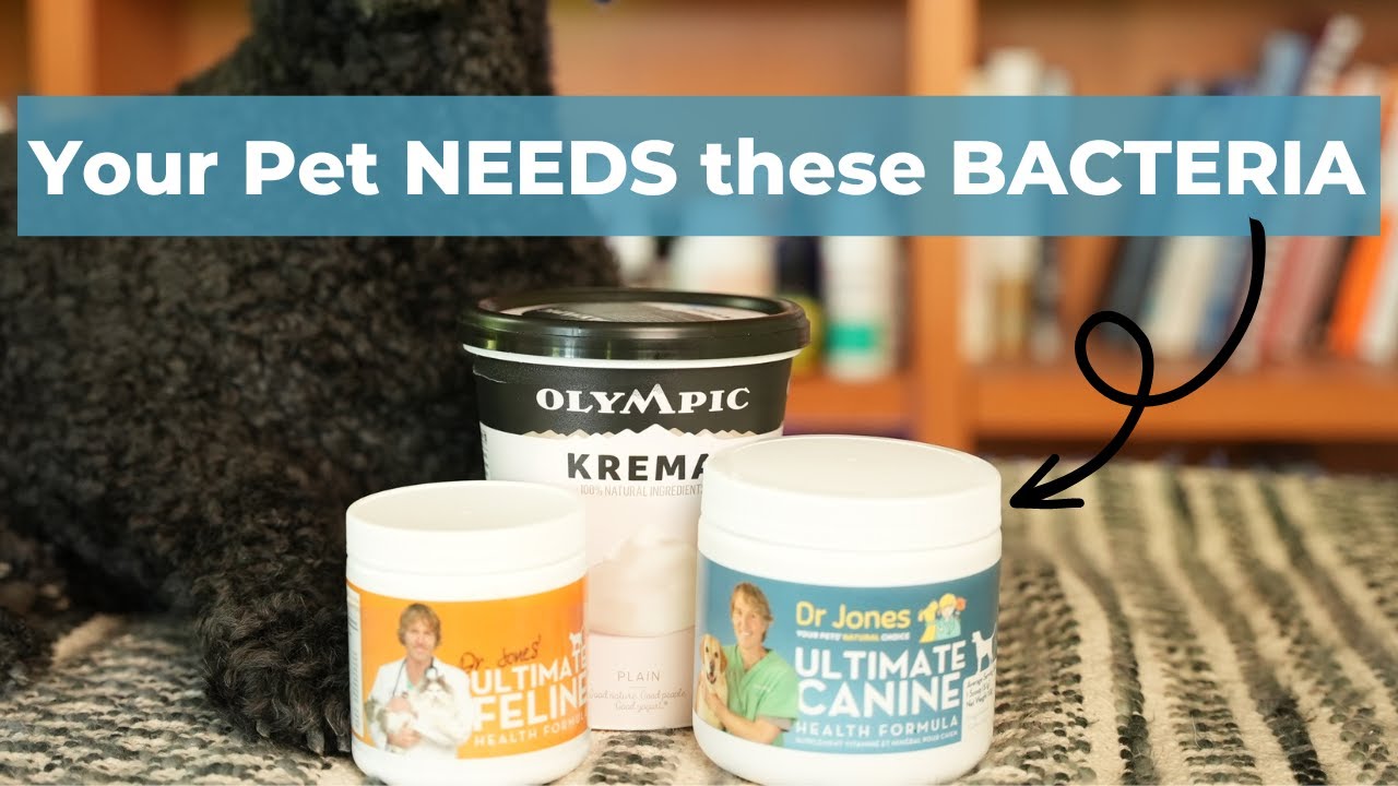 The Surprising Role of Bacteria in Pet Health (probiotics and the microbiome) - Veterinary ...