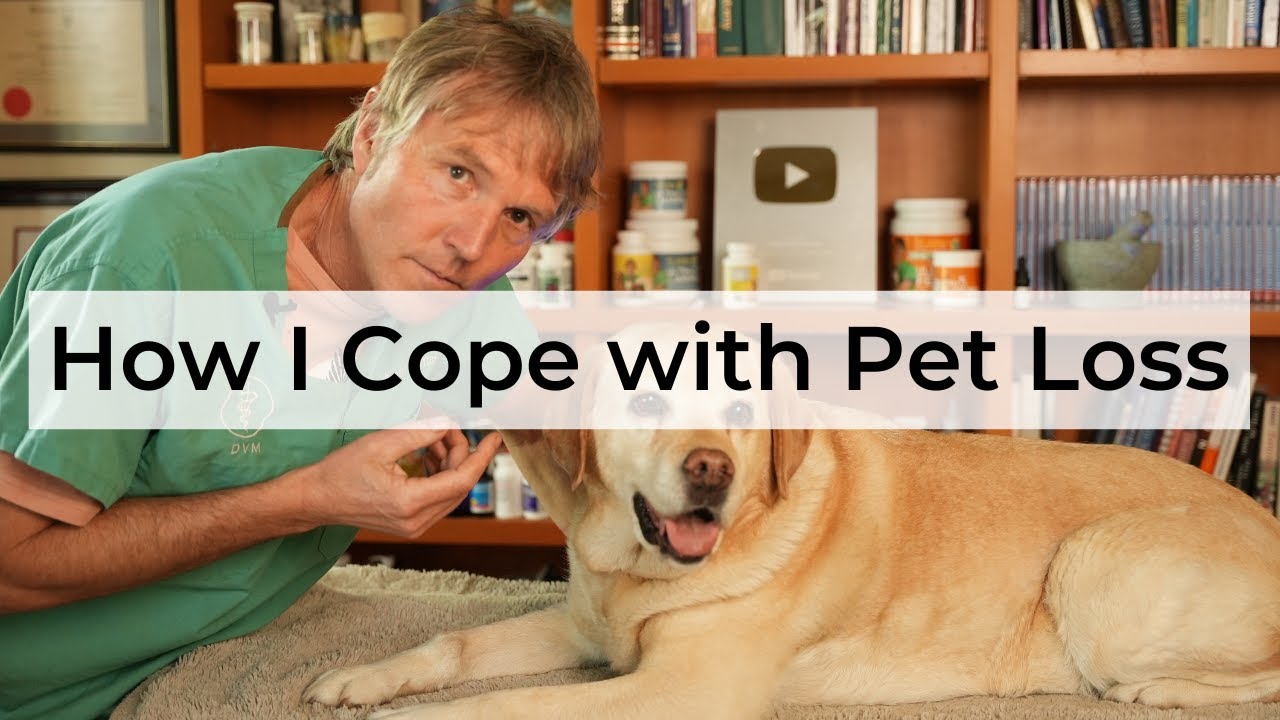 Euthanasia, Sudden death: How Do Veterinarians Cope? - Veterinary ...