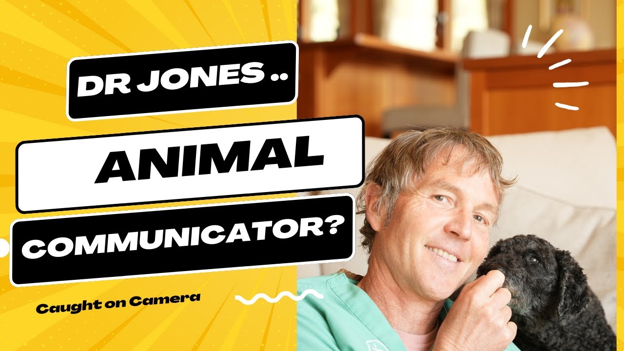 Animal Communication for Beginners: 10 Step Plan - Veterinary Secrets ...