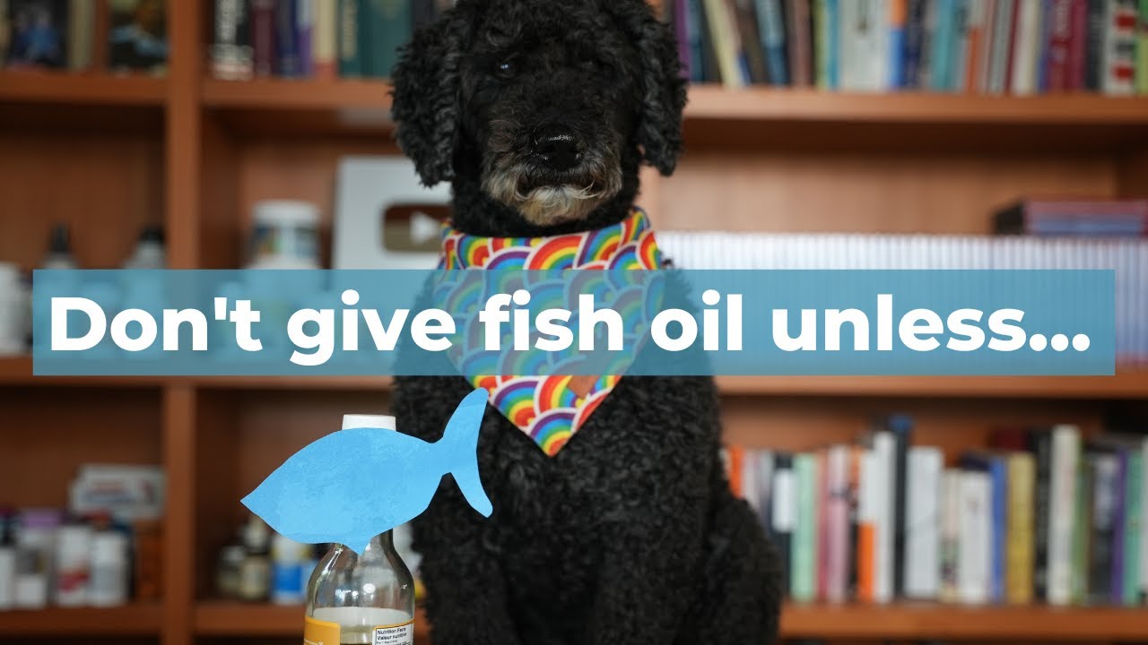Don't give your Pets Fish Oil UNLESS you are doing these 5 Things ...