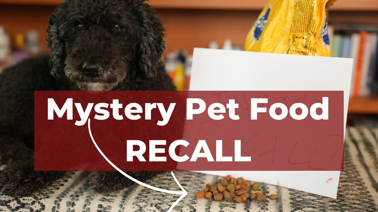 Is Your Pet's Food Safe? Recent Recalls You Should Know About ...