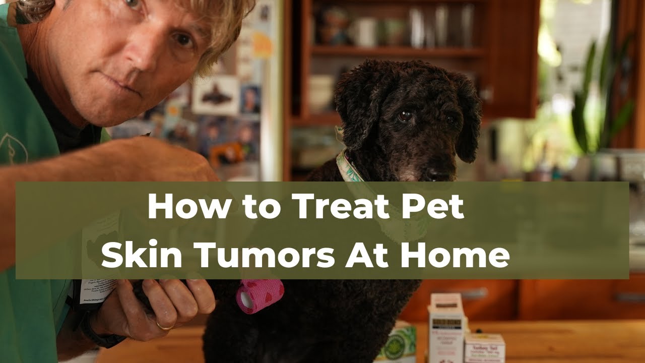 Discover the Top 5 Home Remedies for Skin Tumors in Dogs and Cats - Veterinary Secrets with Dr ...