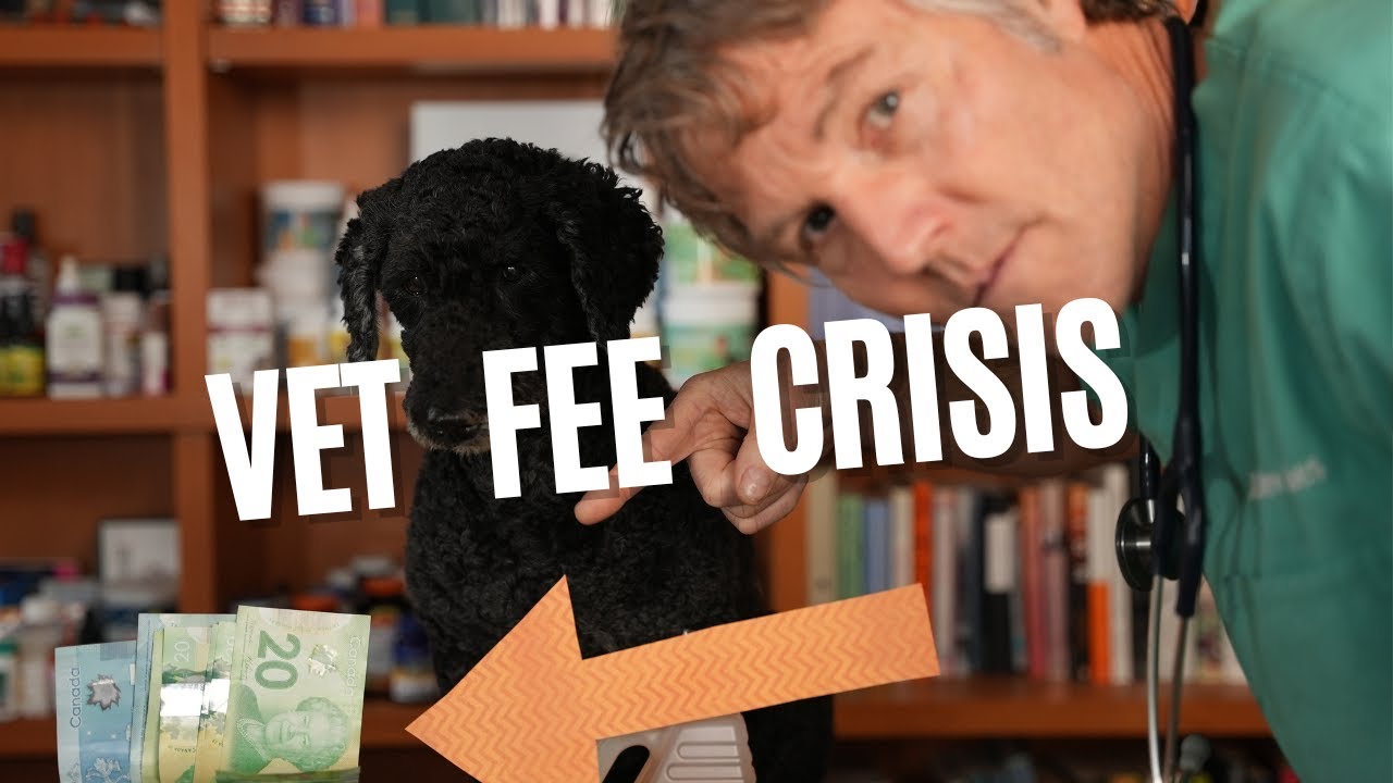 Is Being a Pet Owner Only for the Rich? Exploring the Rising Costs of ...