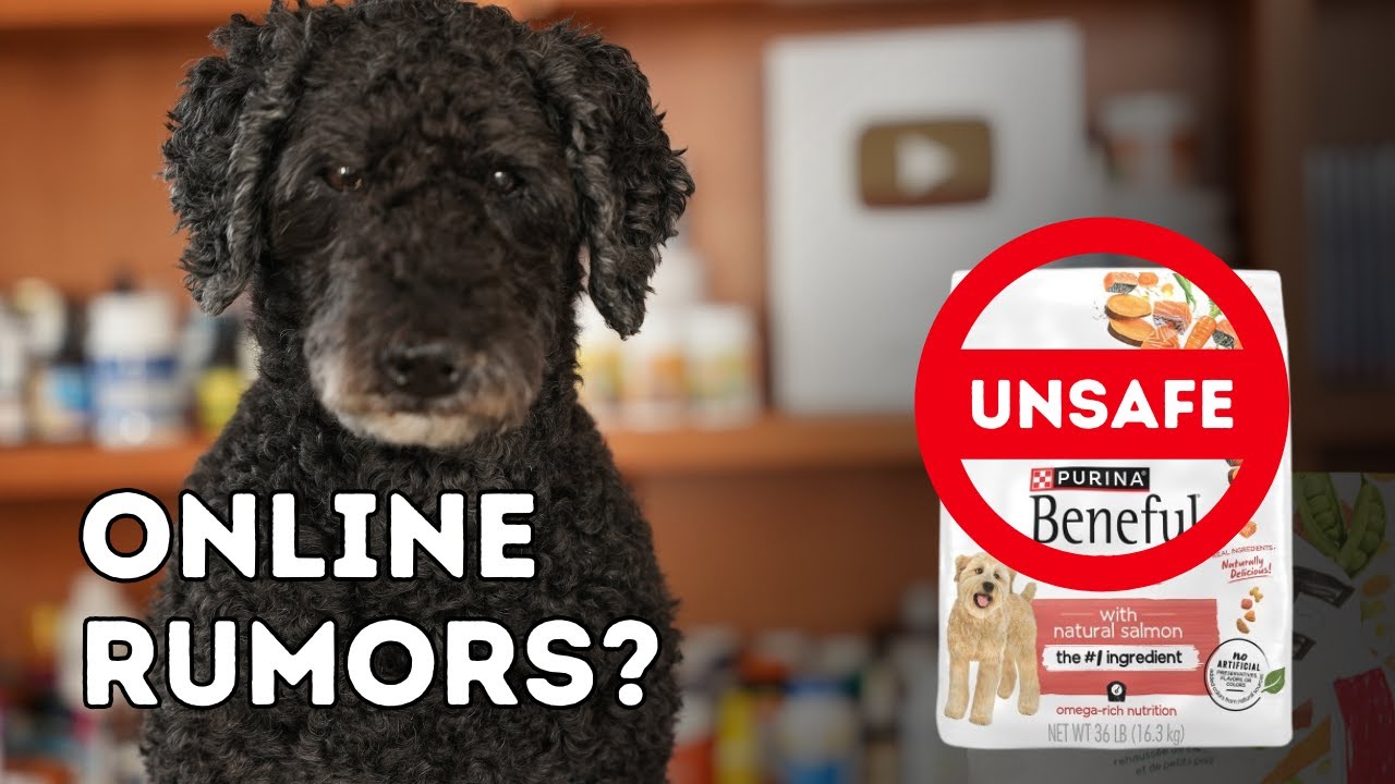 Purina Says it's Pet Food is Safe: Social Media Says Otherwise - Veterinary Secrets with Dr ...