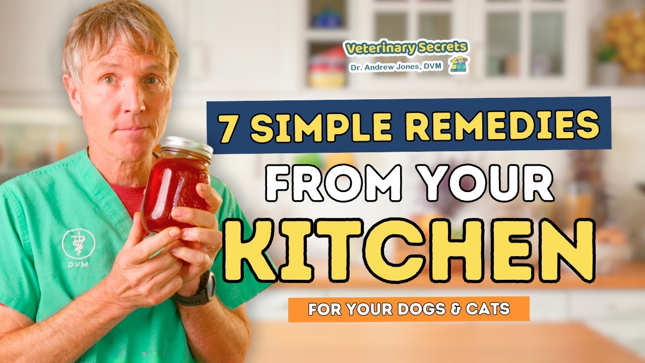 Top 7 Effective Kitchen Remedies for Dogs and Cats - Veterinary Secrets with Dr. Andrew Jones, DVM