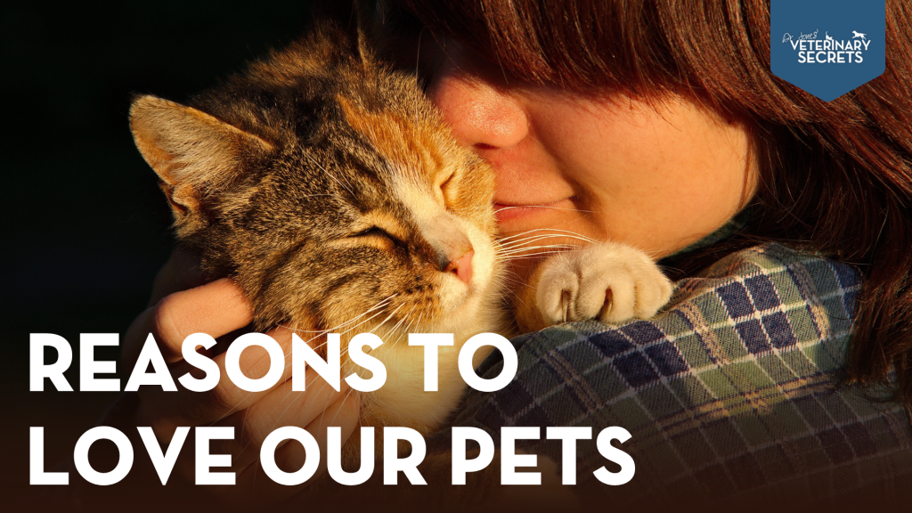 10 Awesome Reasons Why Pets Make Our Lives Better! - Veterinary Secrets ...