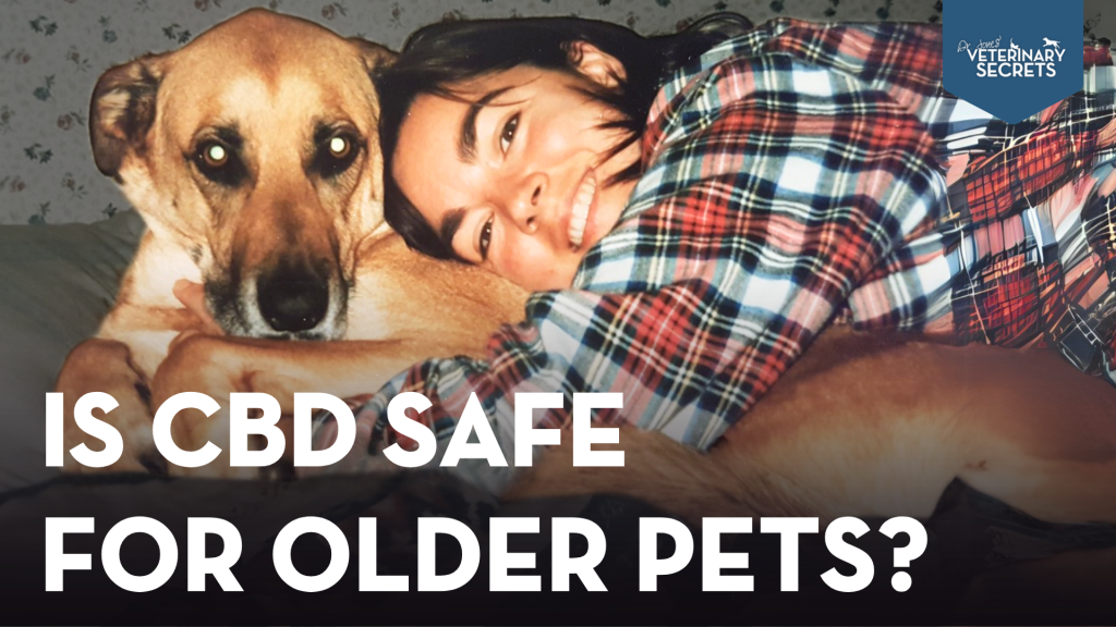 CBD for Aging Pets: Vet Approved or Hype? - Veterinary Secrets with Dr. Andrew Jones, DVM