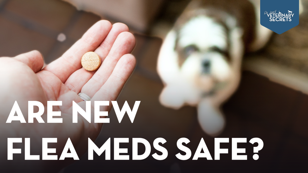 New Pet Flea Medications: What Risks Are You Overlooking? - Veterinary ...