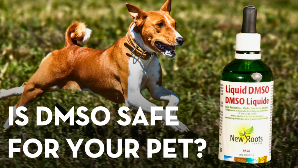 DMSO Exposed: Is It Safe for Your Pets? - Veterinary Secrets with Dr ...